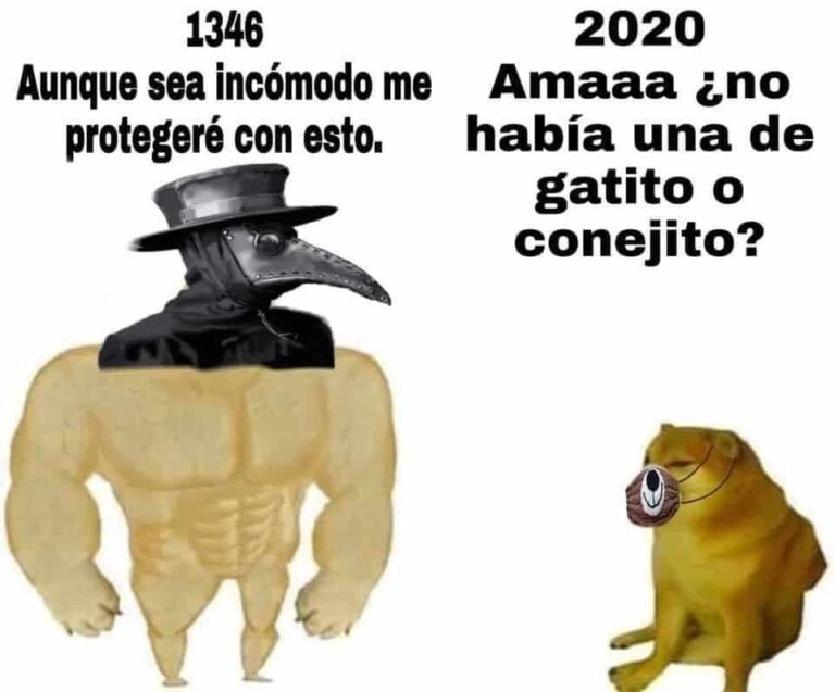 Cheems: La Historia detrás del Meme - Dossier Interactivo