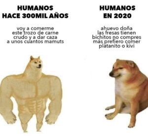 Cheems: La Historia detrás del Meme - Dossier Interactivo