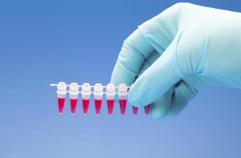 Quimerismo y la Implicación en la Genética - Dossier Interactivo