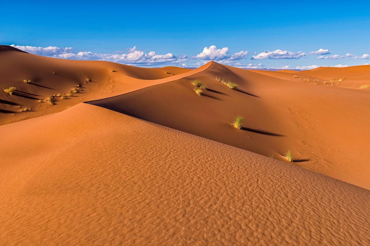 10 Lugares más Calurosos del Mundo 🏜☀ - Dossier Interactivo