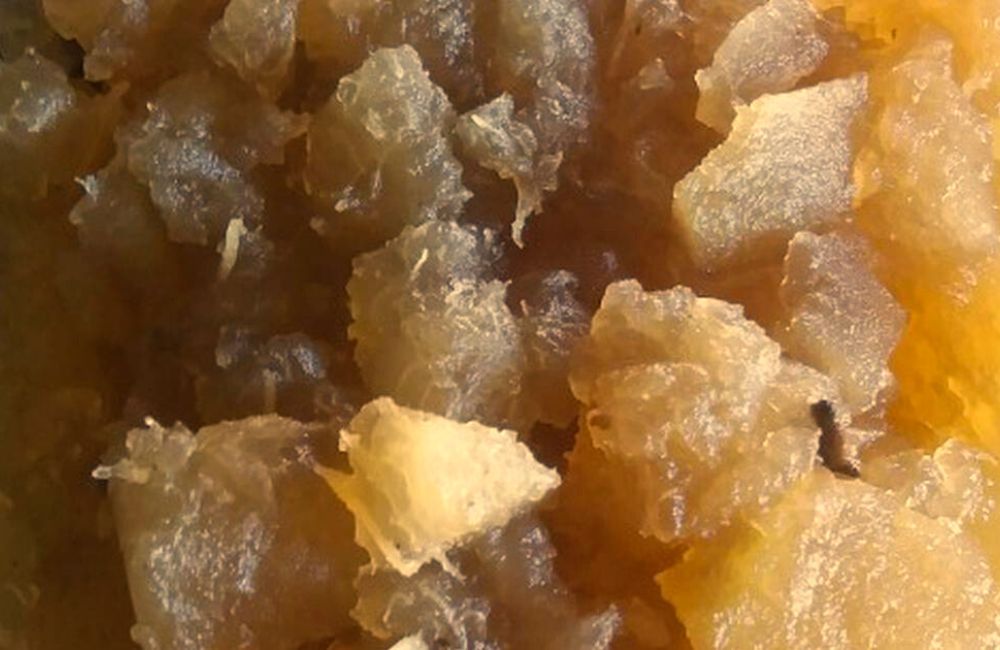 Cómo hacer un rico Dulce de Limonsón - Dossier Interactivo